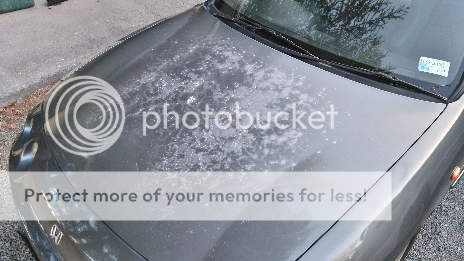 DC2 Integra VTiR - B18C S80 LSD (PRICE DROP - $5K) - Vehicle Exchange ...