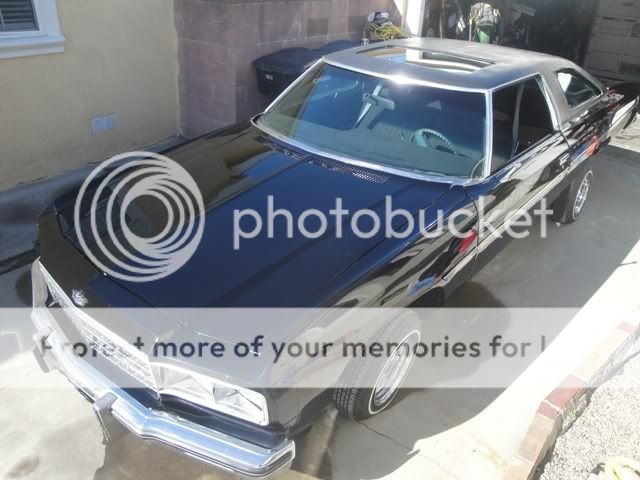 :::76 CAPRICE::: | LayItLow.com Lowrider Forums